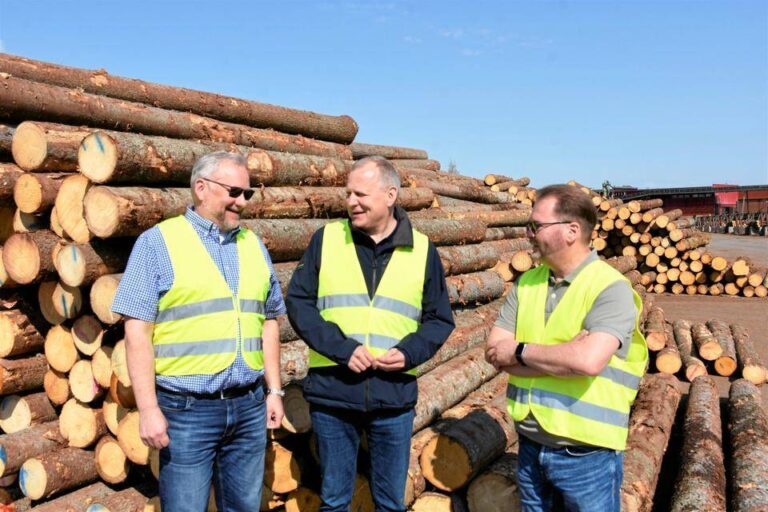Round Wood Logs – Anaika Wood Trading, Porcessing & Timber Production